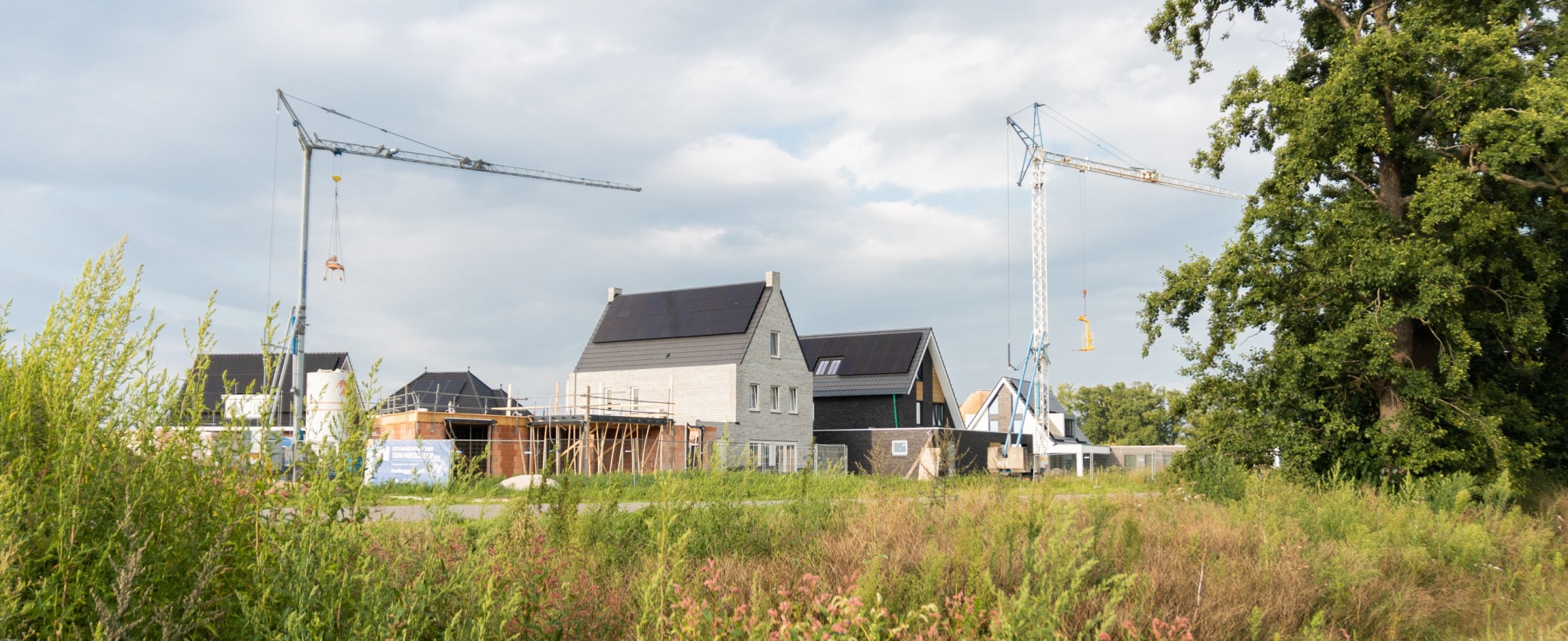 Eschwonen | Bornsche Maten